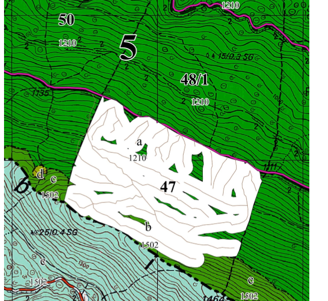 APLICATION OF INFORMATION TECHNOLOGIES IN VISUALIZATION OF FOREST ...